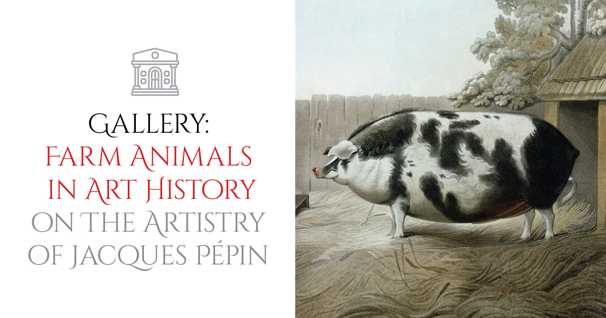 Farm Animals in Art History on “The Artistry of Jacques Pepin”